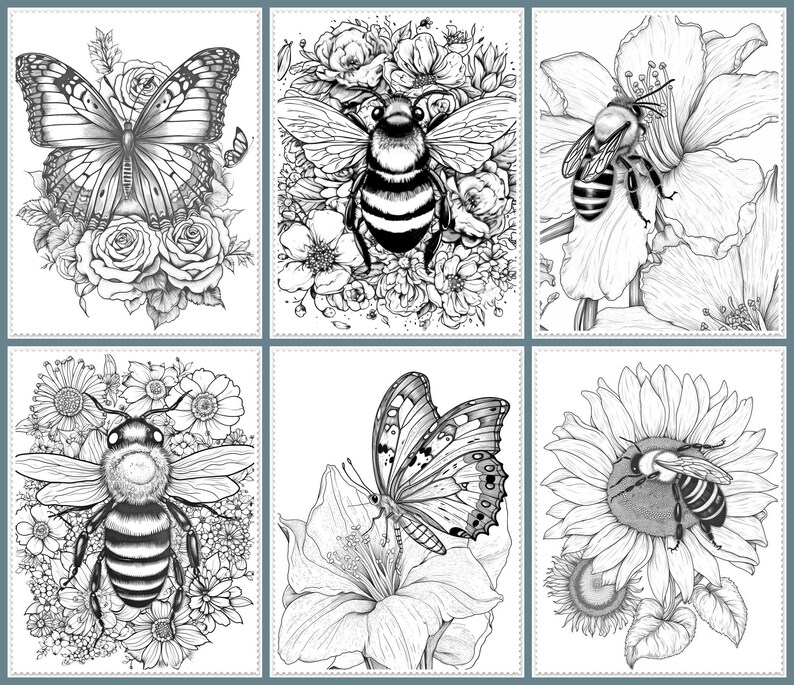 30 Bees and Butterflies Coloring Pages Adults Printable - Etsy