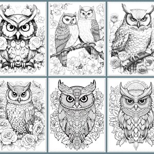 36 Gorgeous Owls Coloring Pages, Floral Owls Printable Grayscale ...