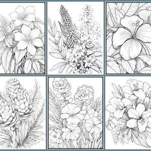 40 Botanical Coloring Pages, Floral Adults Printable Grayscale Coloring ...
