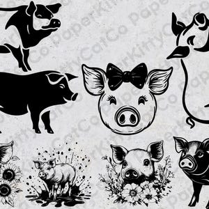 50 Pig PNG & SVG Bundle, Pigs SVG Silhouettes Sublimation, Pigs ...