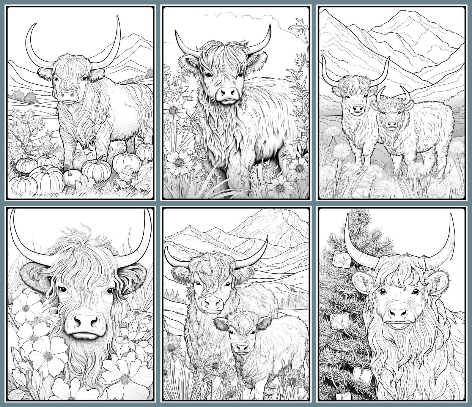 40 Highland Cows Coloring Pages, Highland Cow Printable Grayscale ...