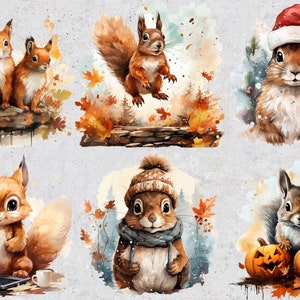 35 Squirrel PNG Cliparts, Watercolor Squirrel Sublimation, Set of PNG ...