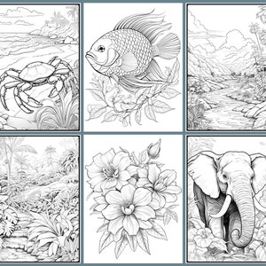 33 Exotic Coloring Pages, Printable Exotic Nature Coloring Pages for ...