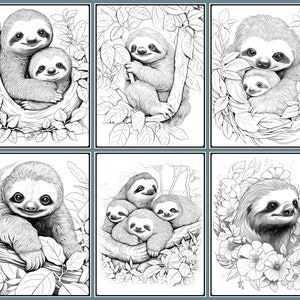 40 Charming Sloths Coloring Pages, Sloths Printable Grayscale Coloring ...