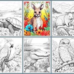 23 Australian Animals Coloring Pages, Printable Australian Animals ...