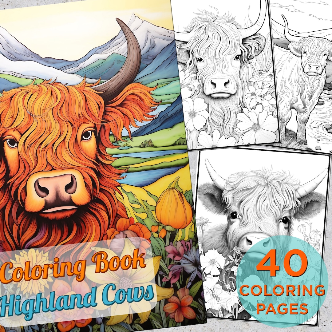40 Highland Cows Coloring Pages, Highland Cow Printable Grayscale ...