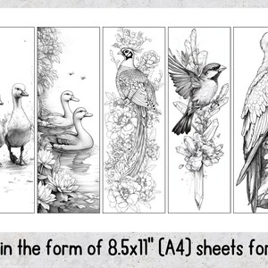 50 Printable Bookmarks for Coloring Birds, Birds Digital Download ...
