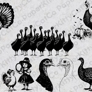 50 Thanksgiving Day Turkey PNG & SVG Bundle, SVG Silhouettes ...