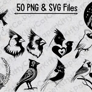 50 Cardinal Bird PNG & SVG Bundle, SVG Silhouettes Sublimation, Bird ...