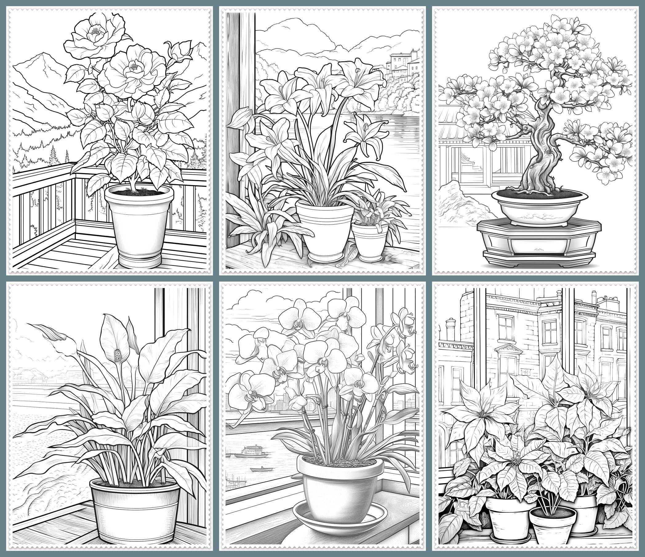 30 Home Flowers Coloring Pages Home Flowers Printable - Etsy