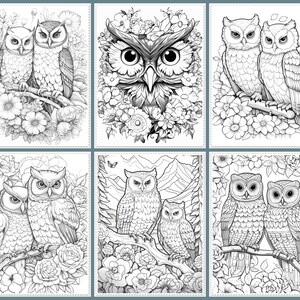 36 Gorgeous Owls Coloring Pages, Floral Owls Printable Grayscale ...
