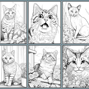 35 Realistic Cats Coloring Pages, Lifelike Cats Printable Grayscale ...