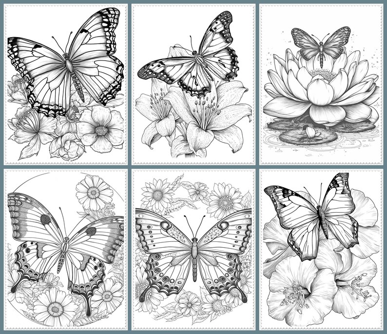 30 Bees and Butterflies Coloring Pages Adults Printable - Etsy