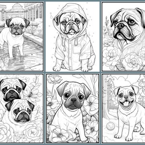 35 Cute Pug Dogs Coloring Pages, Pug Dog Adults Printable Coloring Page ...