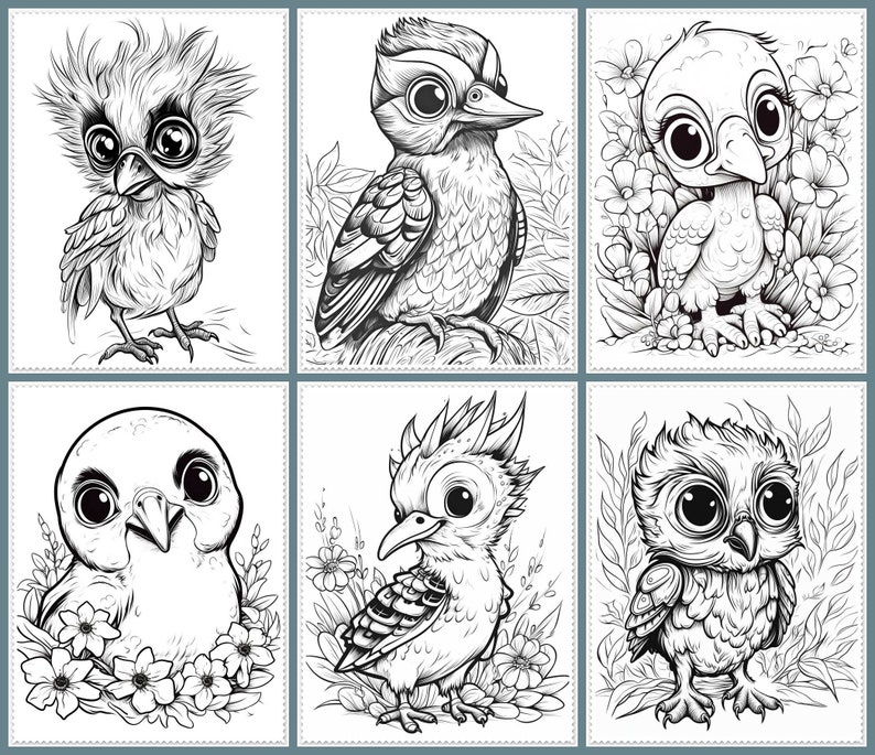 33 Baby Birds Coloring Pages, Adults Printable Coloring Page, Cute Baby Parrots Coloring Pages ...