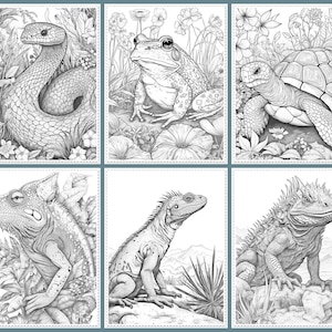25 Reptiles Coloring Pages, Adults Printable Coloring Page, Reptiles ...