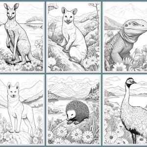 23 Australian Animals Coloring Pages, Printable Australian Animals ...
