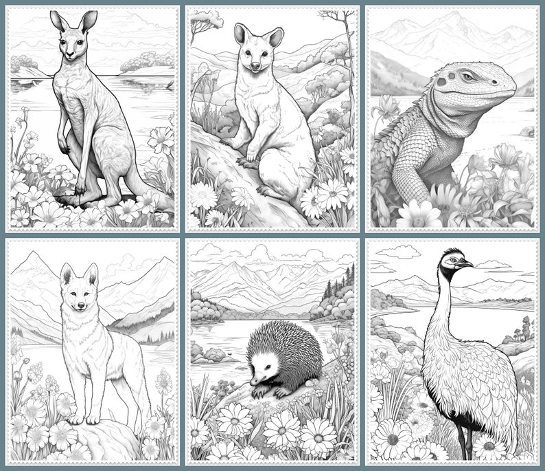23 Australian Animals Coloring Pages Printable Australian - Etsy