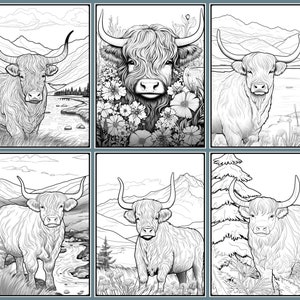 40 Highland Cows Coloring Pages, Highland Cow Printable Grayscale ...