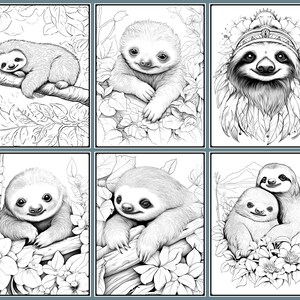40 Charming Sloths Coloring Pages, Sloths Printable Grayscale Coloring ...