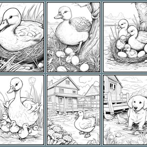 30 Ugly Duckling Coloring Pages, Fairy Tale Printable Grayscale ...