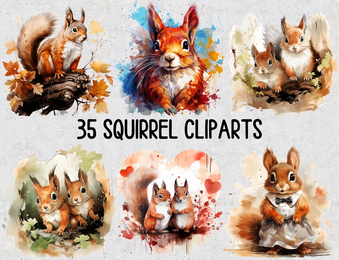 35 Squirrel PNG Cliparts, Watercolor Squirrel Sublimation, Set of PNG ...