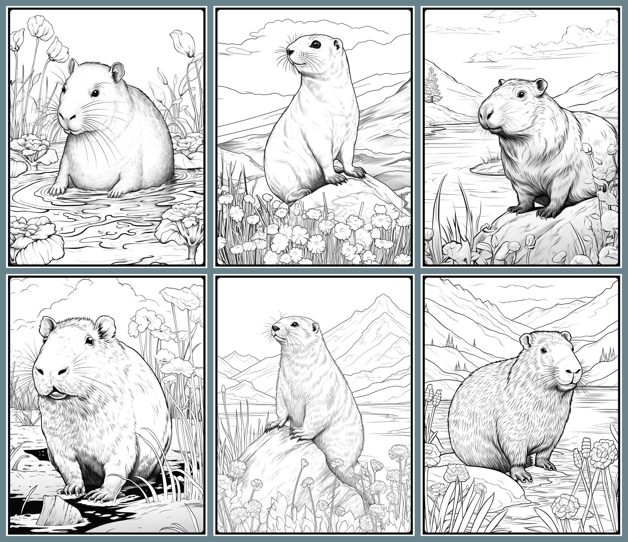 35 Capybara and Other Rodents Coloring Pages, Capybara Printable ...