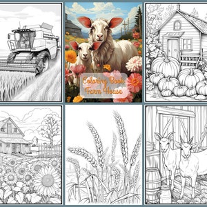 35 Farm House Coloring Pages, Adults Printable Rancho Coloring Book ...