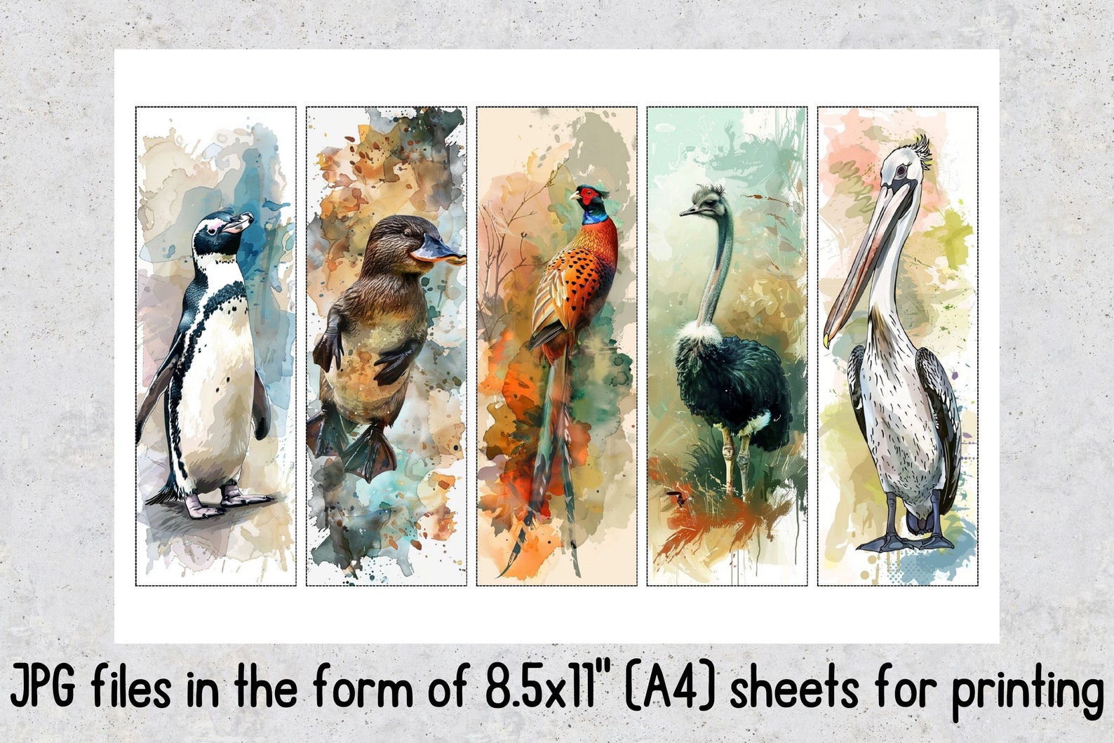 50 Australian Animals Printable Bookmarks, Birds Digital Download ...