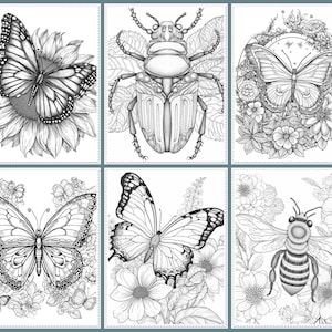 30 Bees and Butterflies Coloring Pages, Adults Printable Coloring Page ...