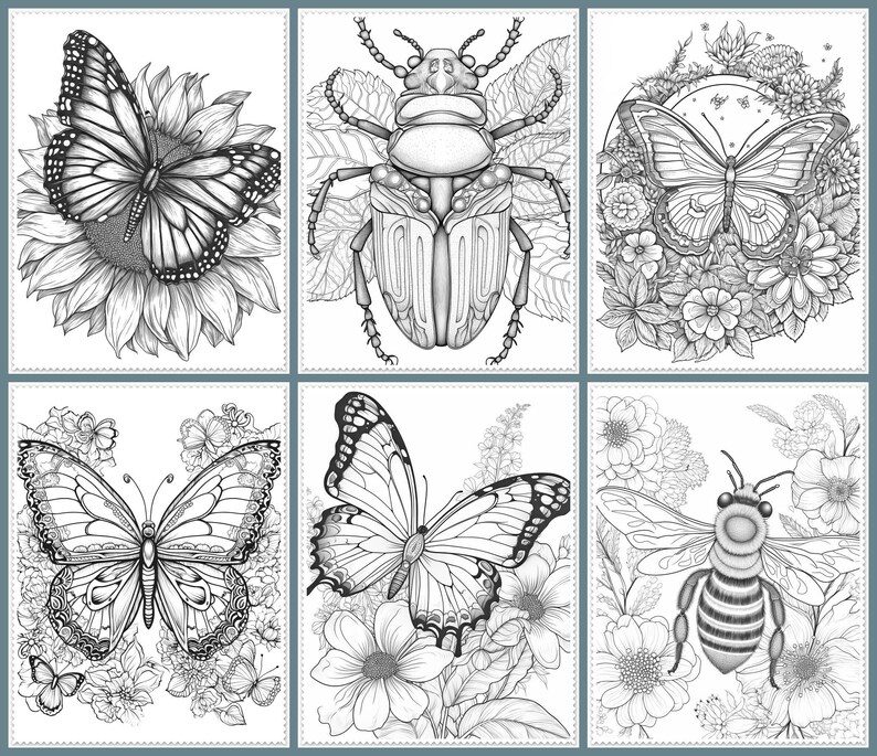 30 Bees and Butterflies Coloring Pages Adults Printable - Etsy
