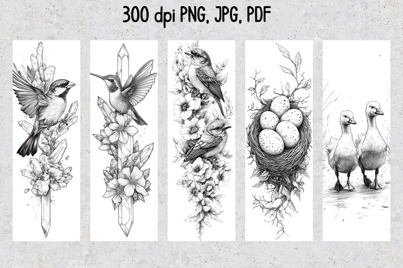 50 Printable Bookmarks for Coloring Birds, Birds Digital Download ...