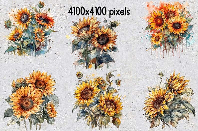 25 Sunflowers PNG Cliparts Watercolor PNG Fall Sunflowers - Etsy