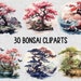 30 Bonsai Tree PNG Cliparts Watercolor Japan Bonsai - Etsy