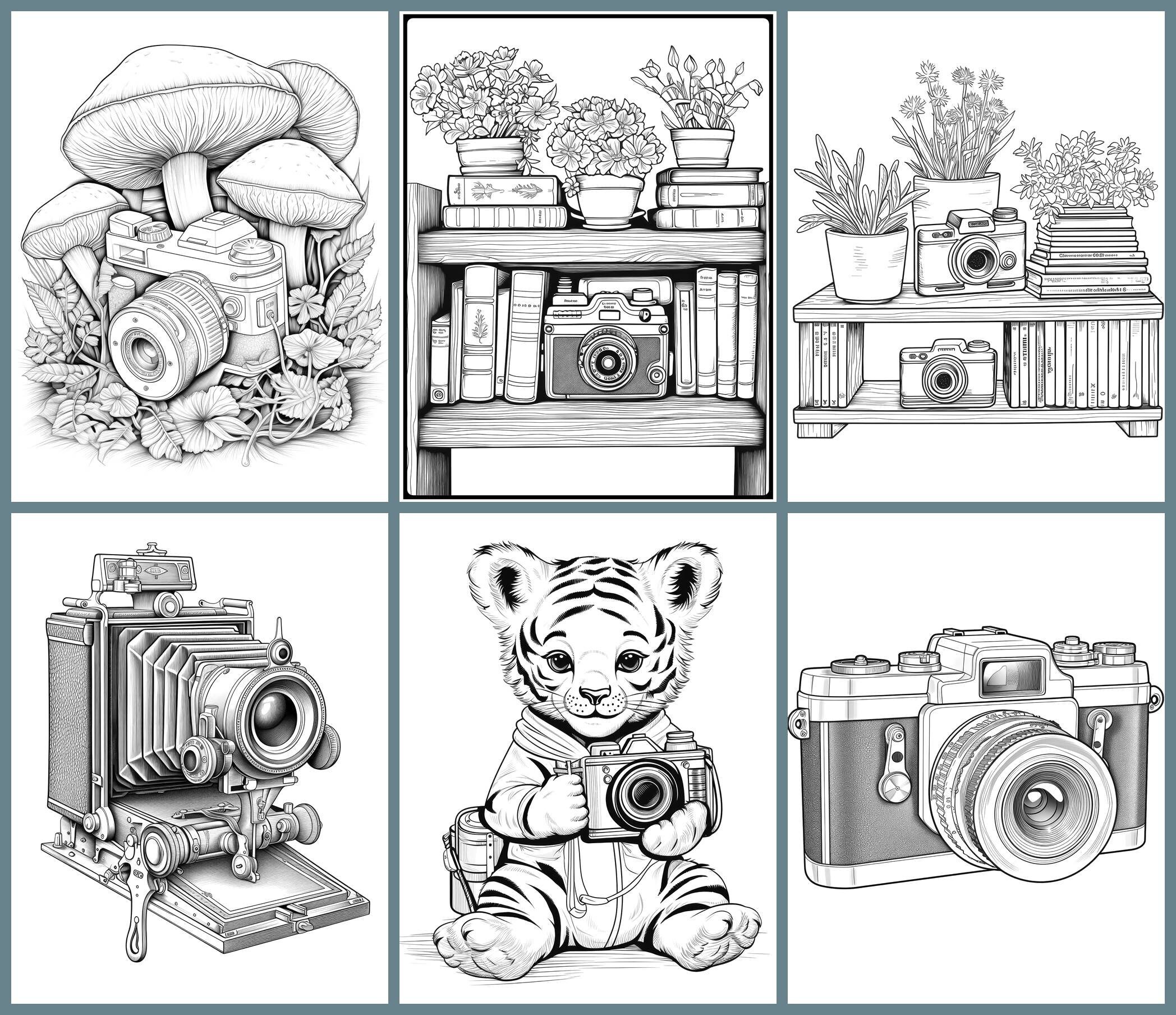 33 Retro Photo Cameras Coloring Pages, Vintage Photo Camera Adults ...
