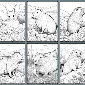 35 Capybara and Other Rodents Coloring Pages, Capybara Printable ...