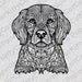 5 Labrador Retriever SVG Bundle, Dog Zentangle Mandala SVG, Set of Dog ...