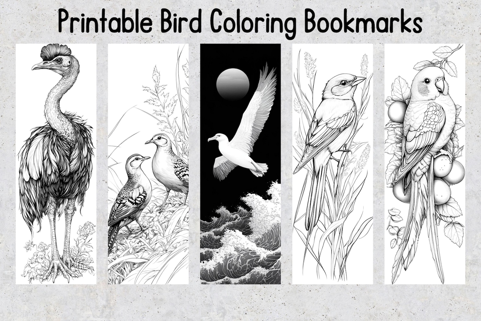 50 Printable Bookmarks for Coloring Birds, Birds Digital Download ...