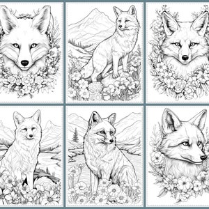 30 Cute Foxes Coloring Pages, Foxes Adults Kids Printable Grayscale ...