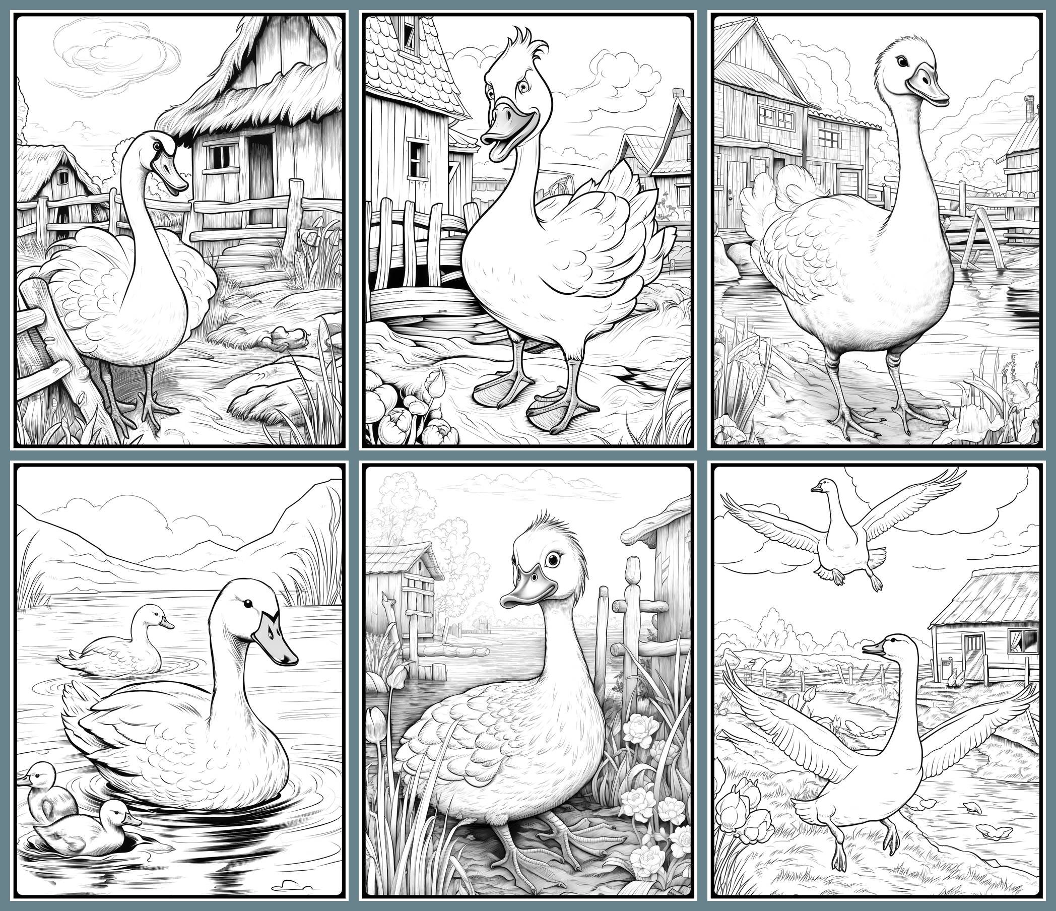 30 Ugly Duckling Coloring Pages, Fairy Tale Printable Grayscale ...