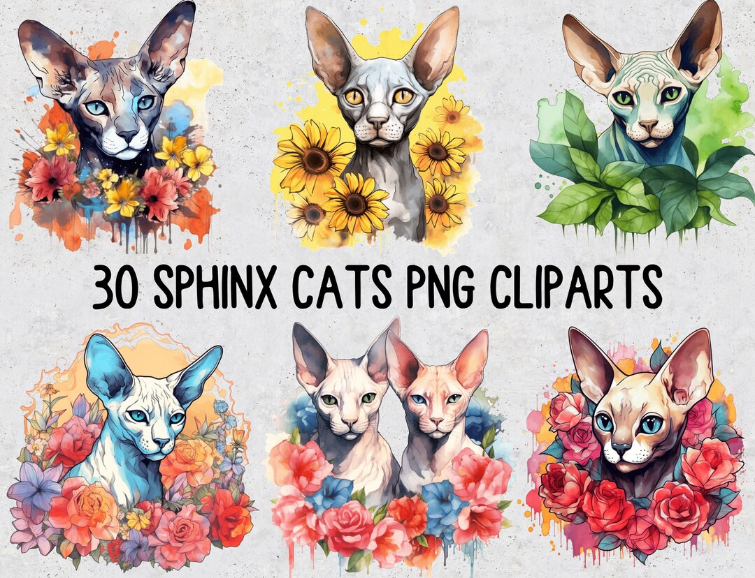 30 Sphinx Cats PNG Cliparts, Watercolor Sphinx Cats and Flowers ...