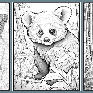 33 Exotic Coloring Pages, Printable Exotic Nature Coloring Pages for ...