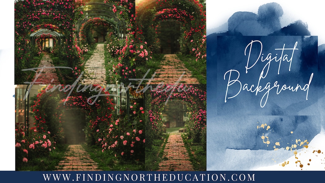 Rose Path Digital Background - Etsy
