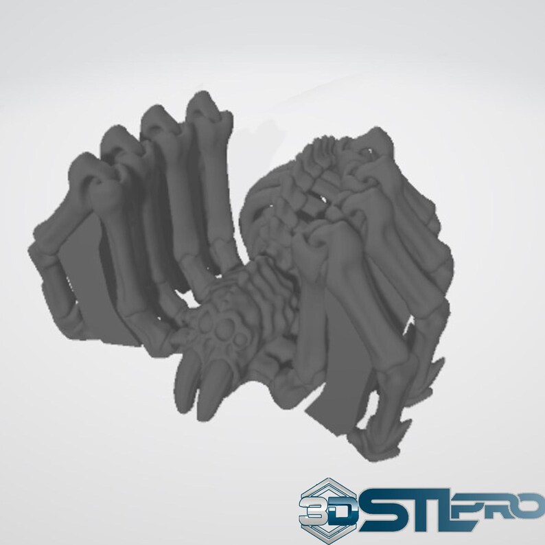 Articulated Skeleton Spider STL: Flexi Halloween Decor (3D Printable ...