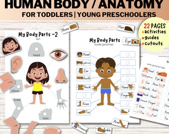 Body Parts Human Anatomy Toddler Busy Book Learning Binder Printable ...
