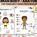 Body Parts Human Anatomy Toddler Busy Book Learning Binder Printable ...