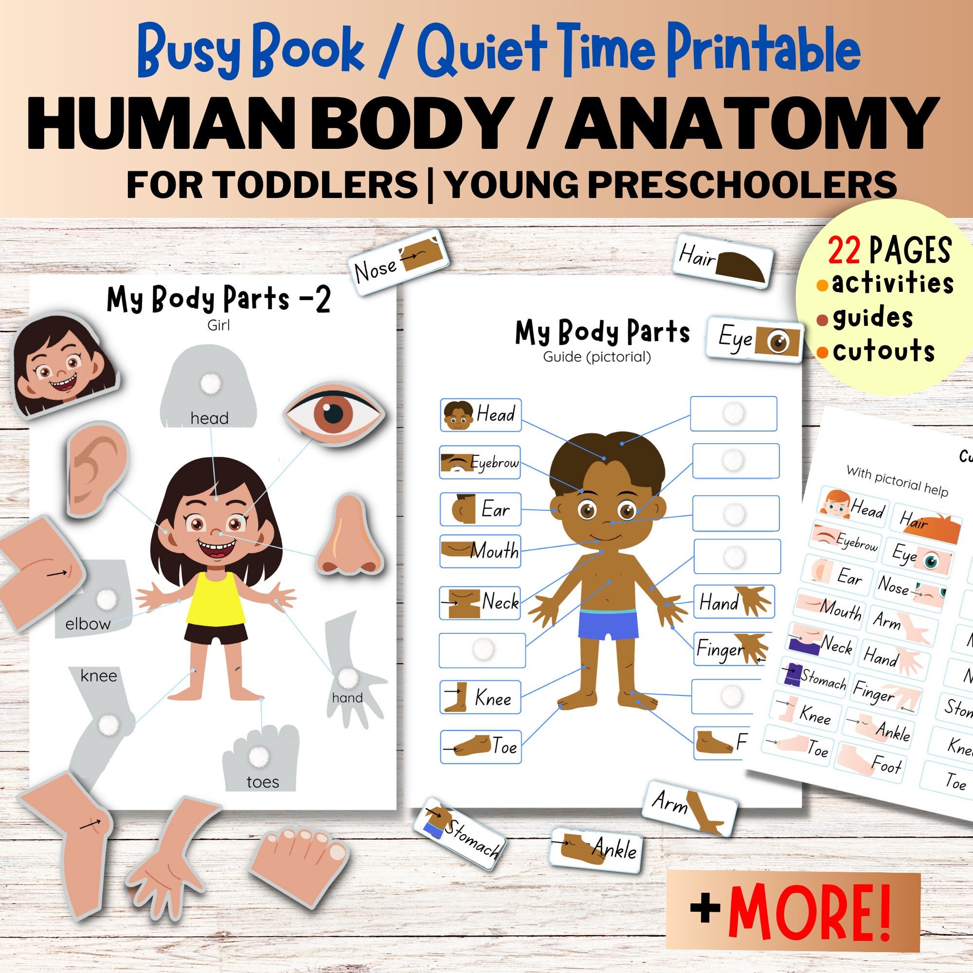 Body Parts Human Anatomy Toddler Busy Book Learning Binder Printable ...