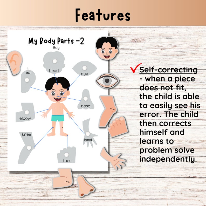 Body Parts Human Anatomy Toddler Busy Book Learning Binder Printable ...