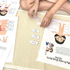 Female Reproductive System Toddler Busy Book Human Anatomy Private ...