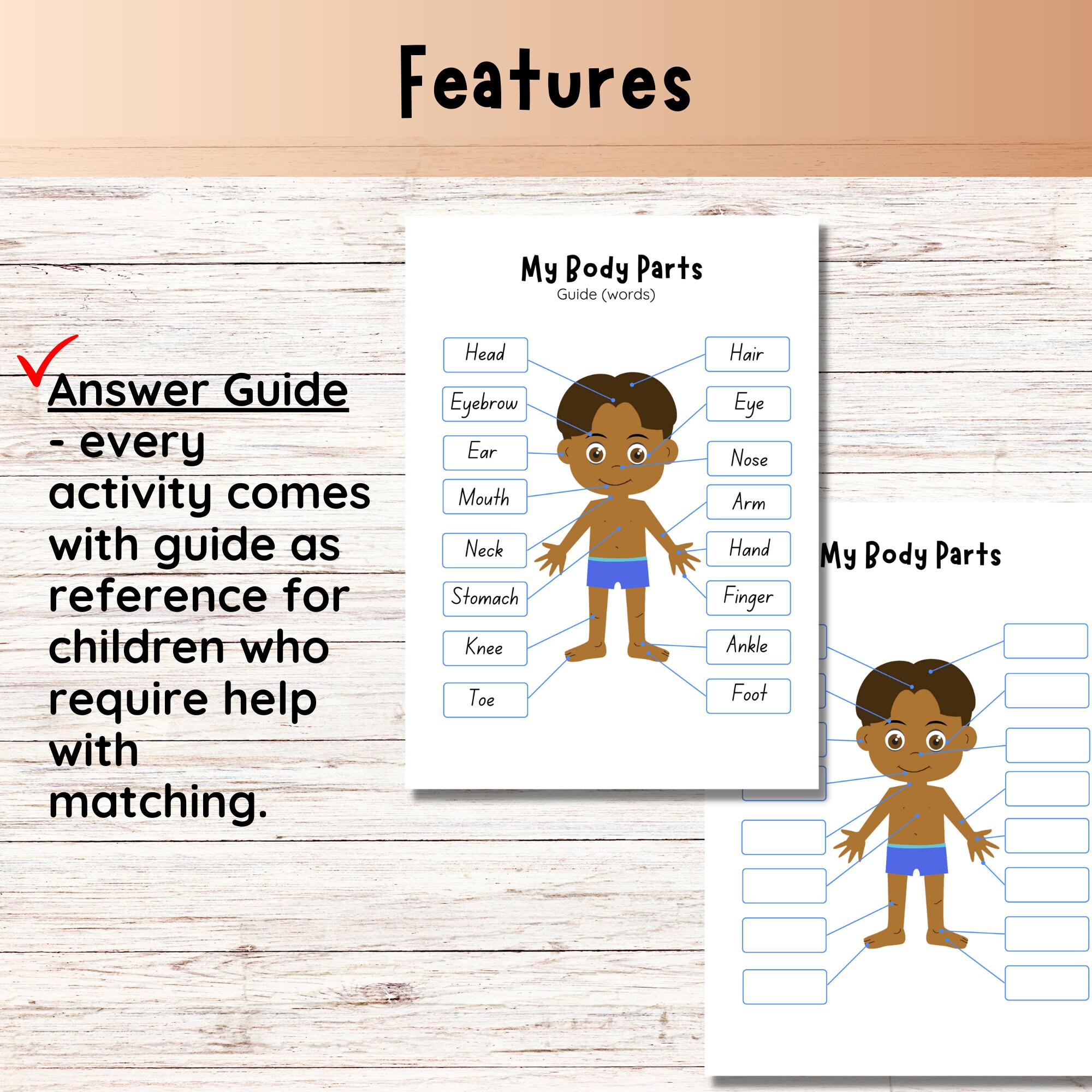 Body Parts Human Anatomy Toddler Busy Book Learning Binder Printable ...
